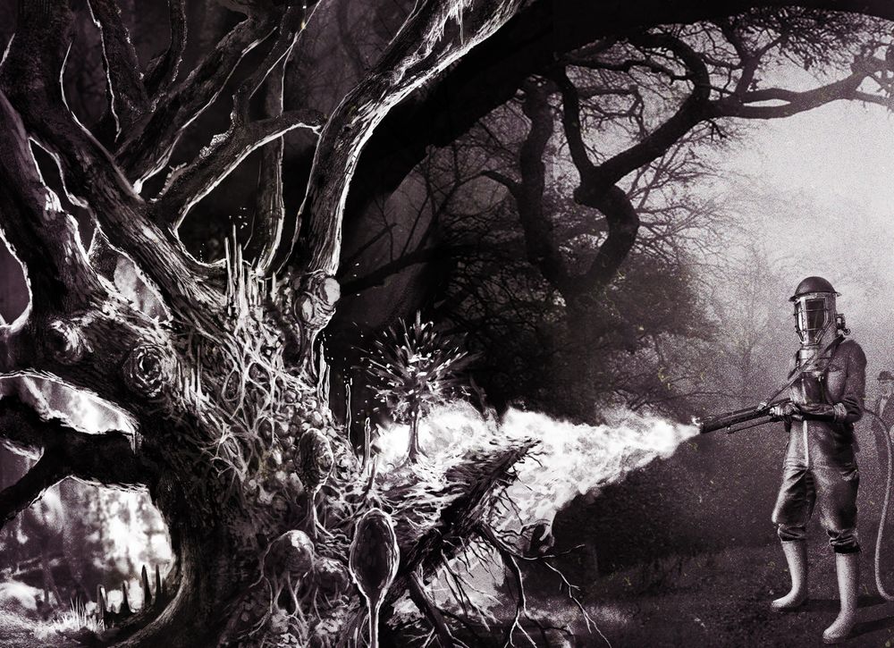 About | Our Brilliant Ruin