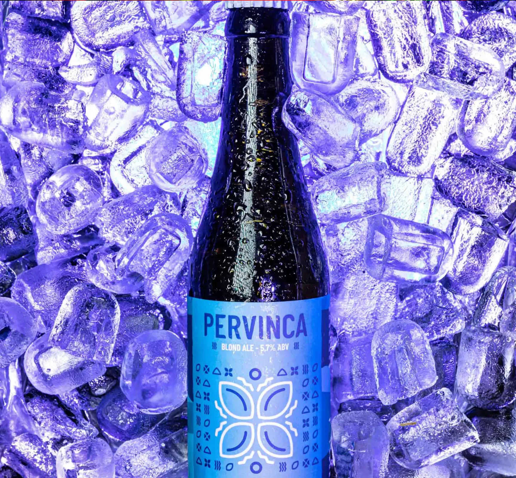 Verpakkingen voor Bier | Berlin Packaging