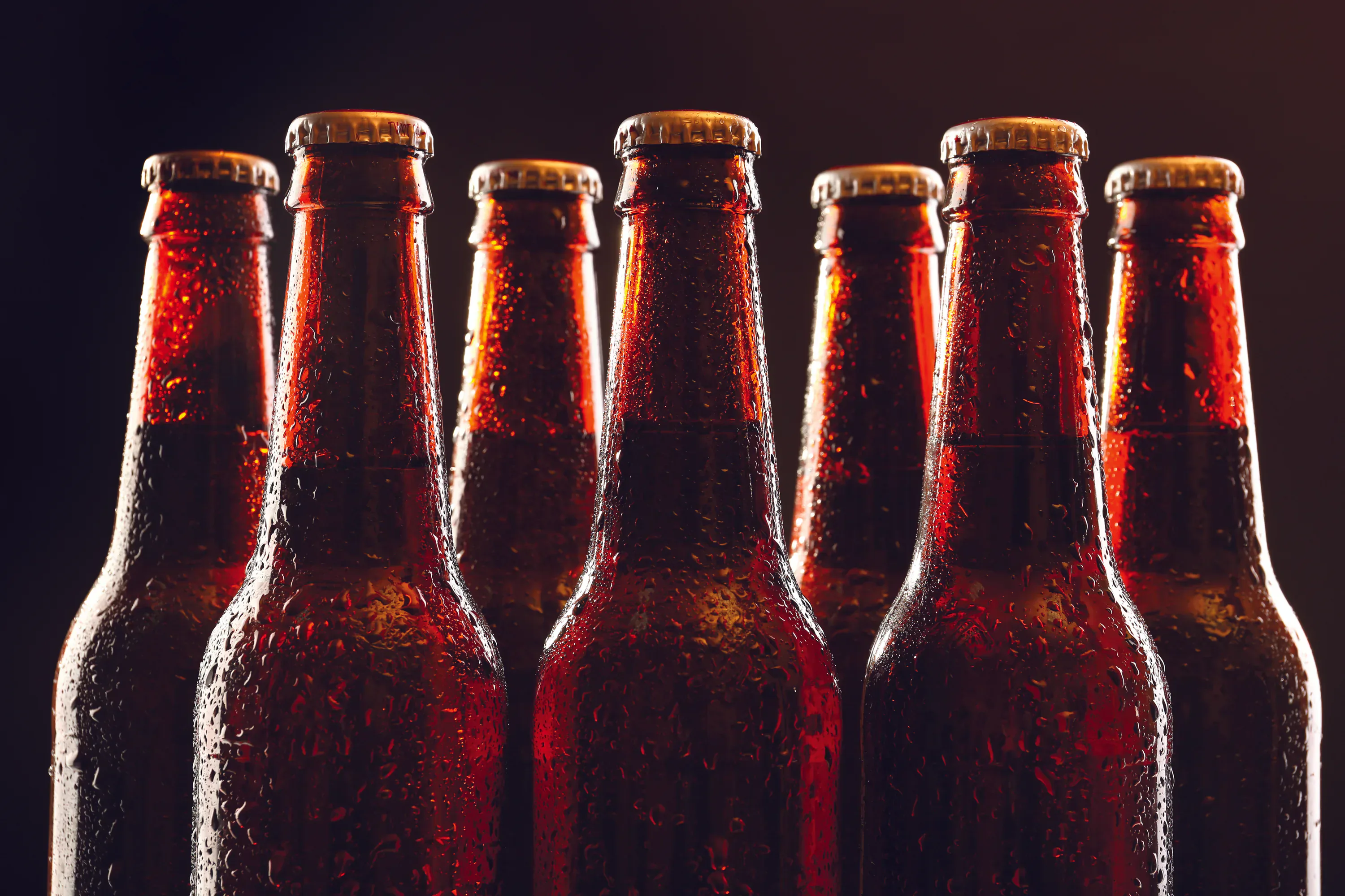 Servicios para el Mercado de la Cerveza | Berlin Packaging