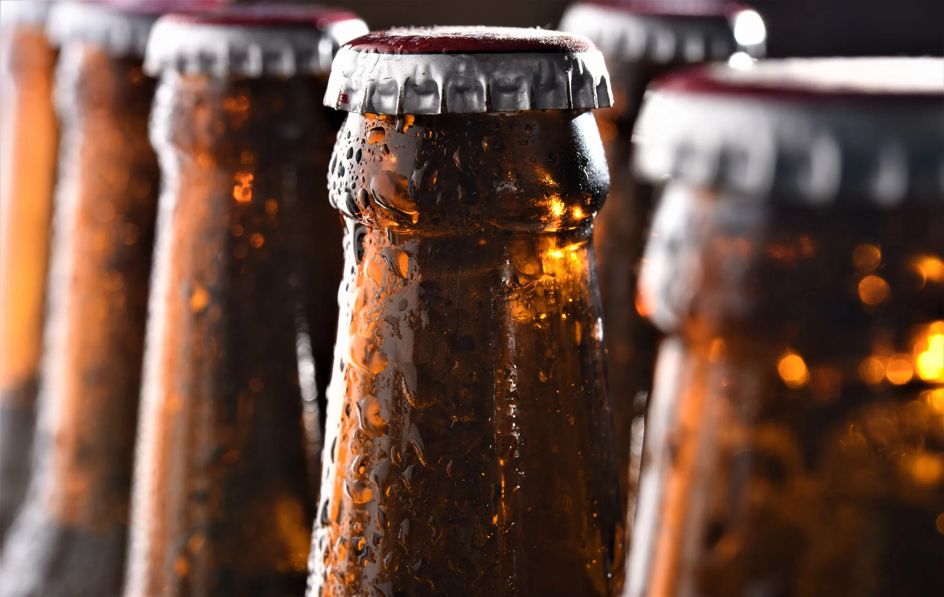 La Profunda Experiencia de Berlin Packaging en el Mercado de la Cerveza ...