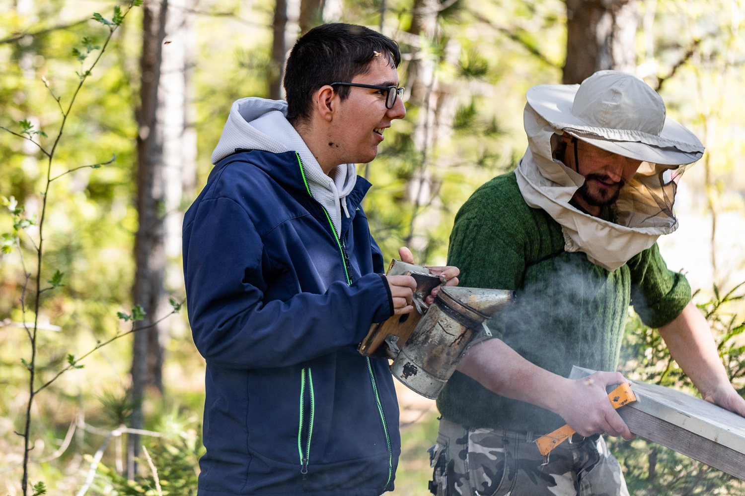 Bienentag: Tag des offenen Bienenkorbs | Lebensbogen