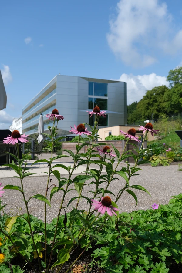 MEDICE Health Family