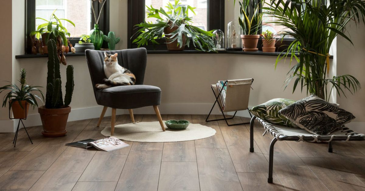 Laminaatvloeren van hoogwaardige kwaliteit - Floortec Noord - Floortec