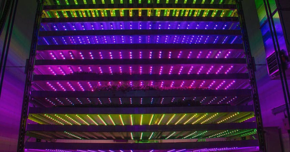 Intelligent Growth Solutions Appoints The PHA Group As Lead PR Agency ...