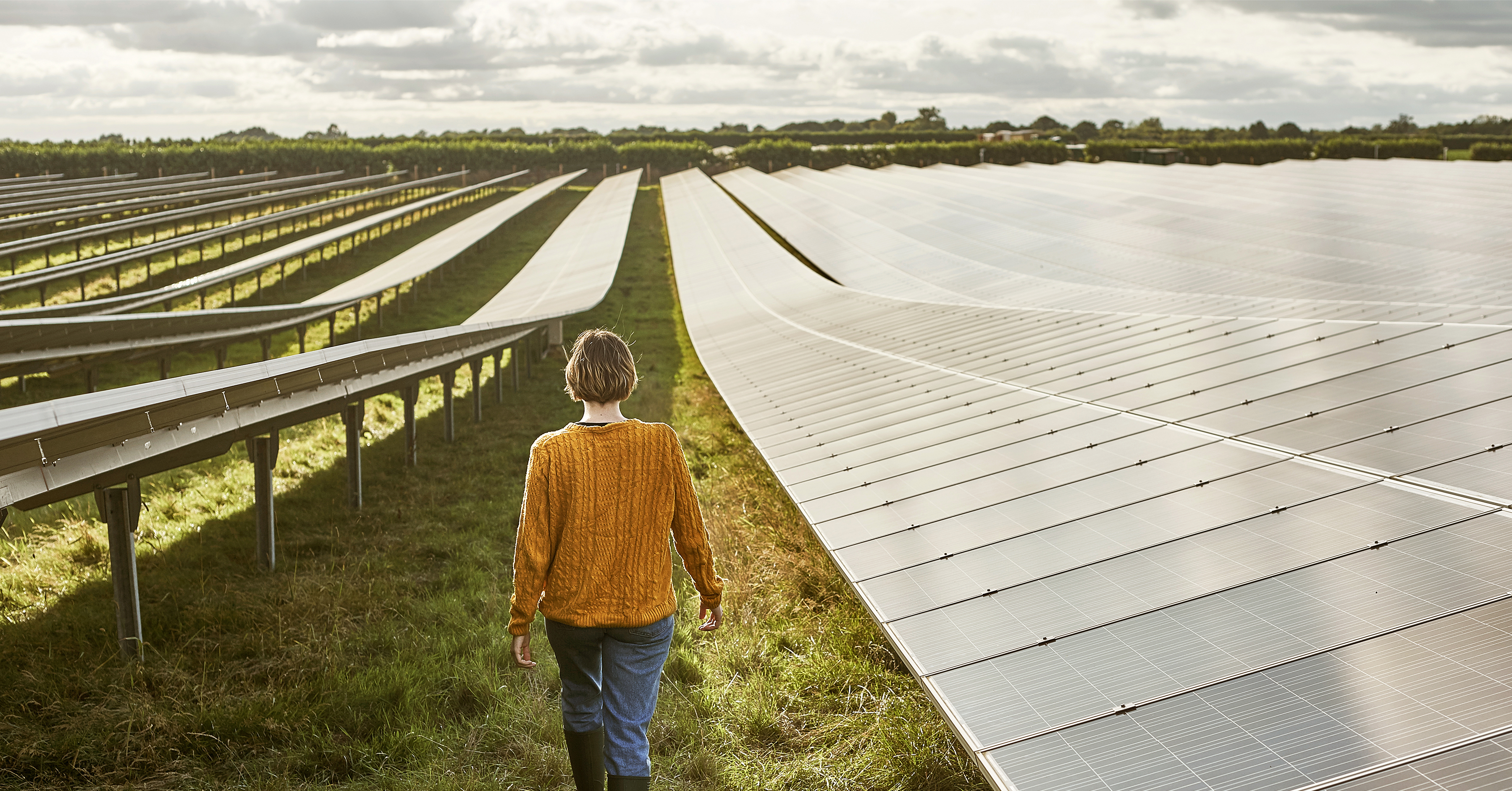 Erneuerbare Energien | LichtBlick | LichtBlick