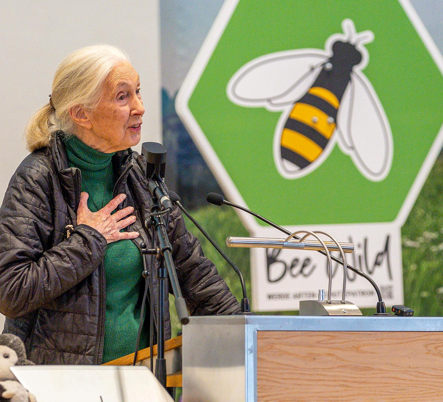 BeeWild - Werde Arten-Schutzpatron