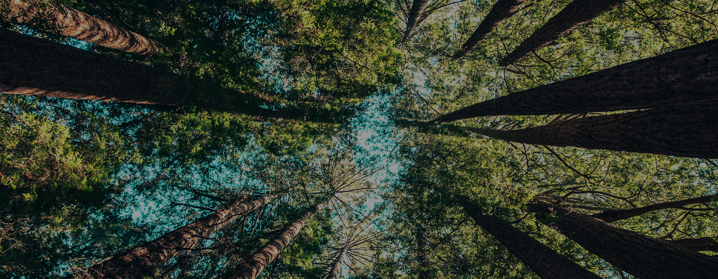 Behind the Scenes at Popsa HQ