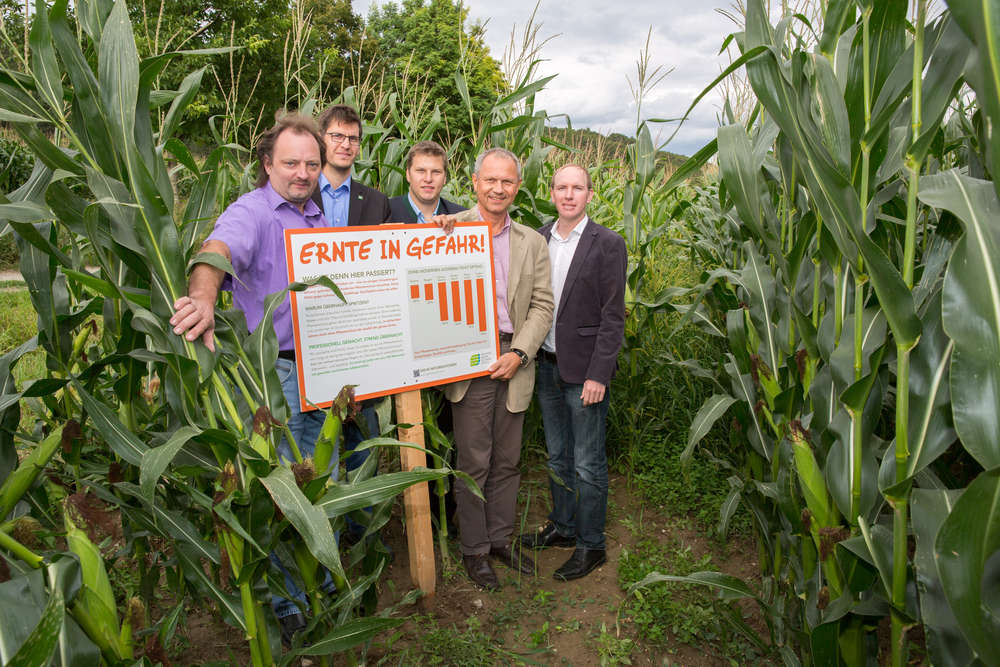 IndustrieGruppe Pflanzenschutz: Christian Stockmar als Obmann ...