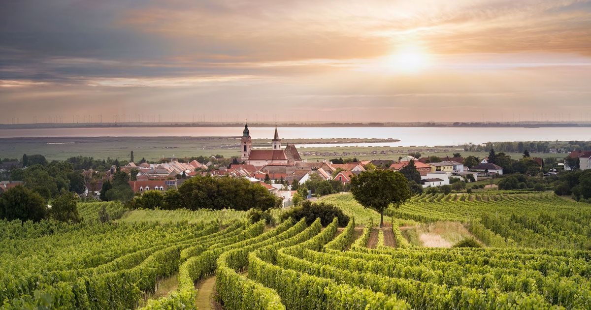 Neuer Herkunftsschutz für Süßweine vom Neusiedler See | Bauernzeitung
