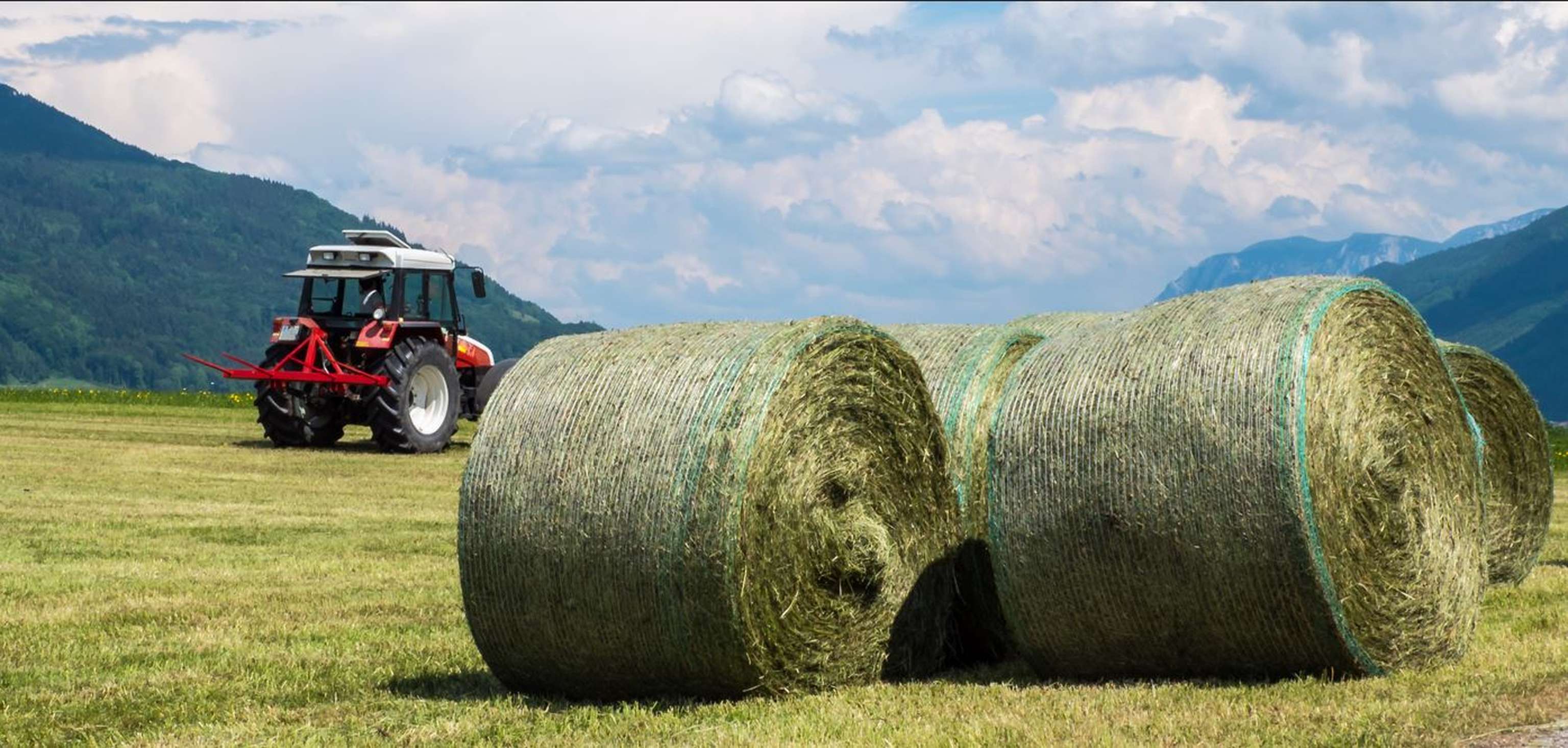 Heu, Stroh, Mais und Co. – ein besonderer Markt | Bauernzeitung