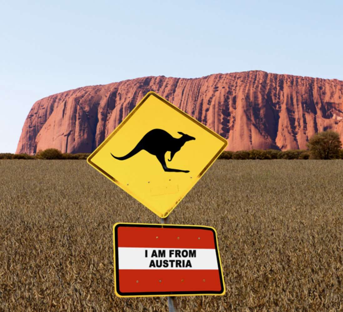 Probstdorfer Maisportfolio 2026 | Bauernzeitung