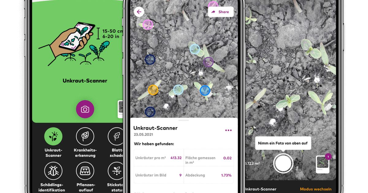 Stilvolle Unkraut Bestimmen App Bilder