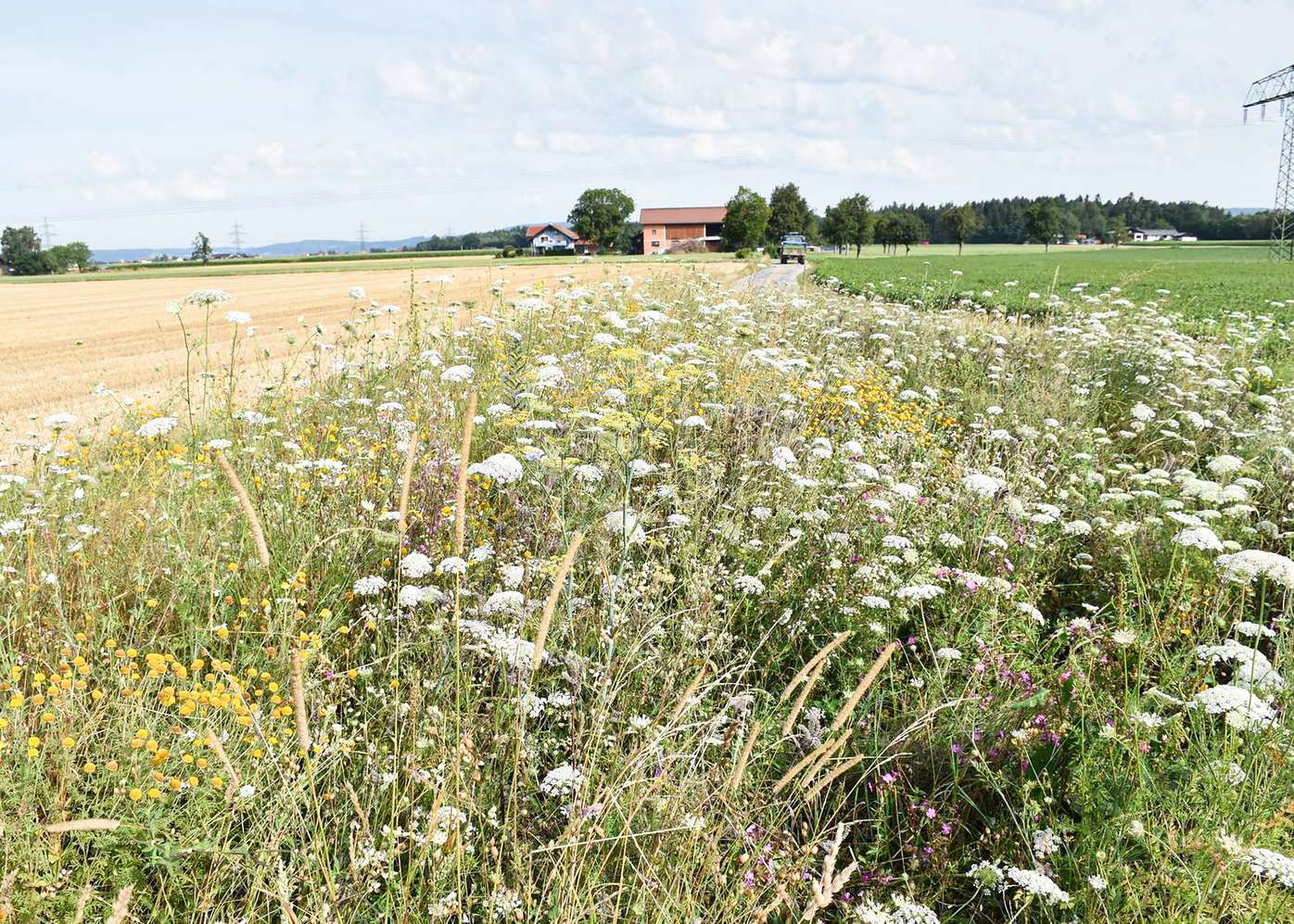Milch: Rekordwerte bei Export und Import | Bauernzeitung