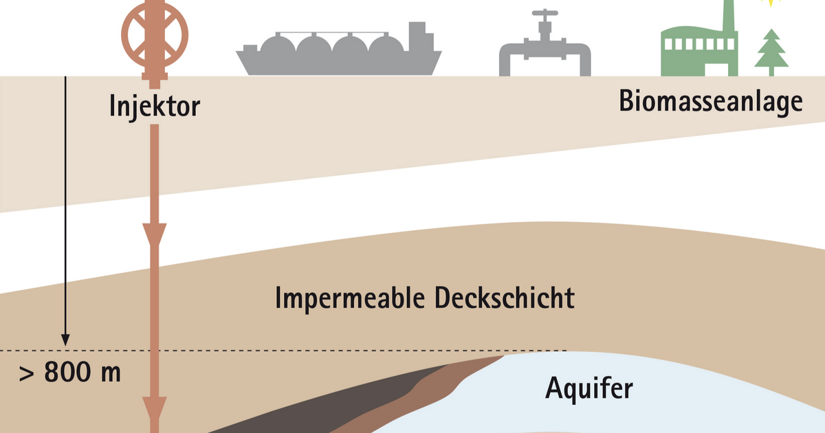 Bioenergie kann noch mehr | Bauernzeitung