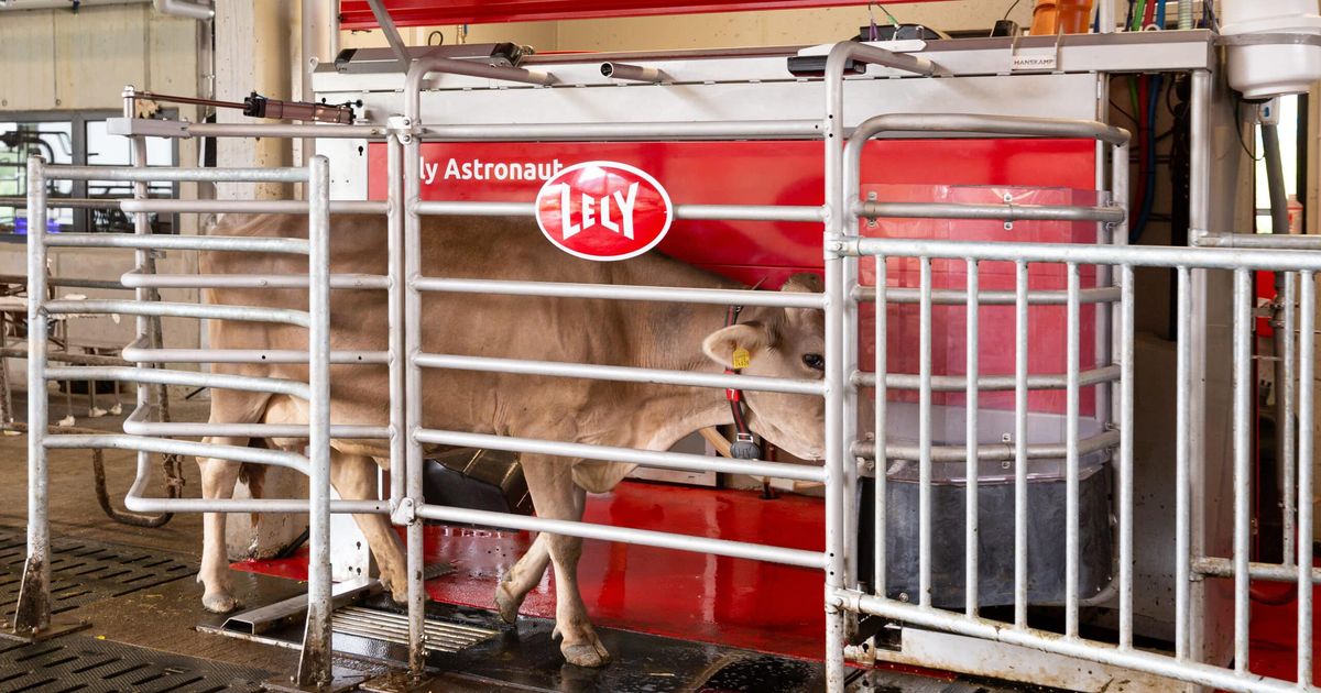 Lely Astronaut A5 ist Österreichs führender Melkroboter | Bauernzeitung