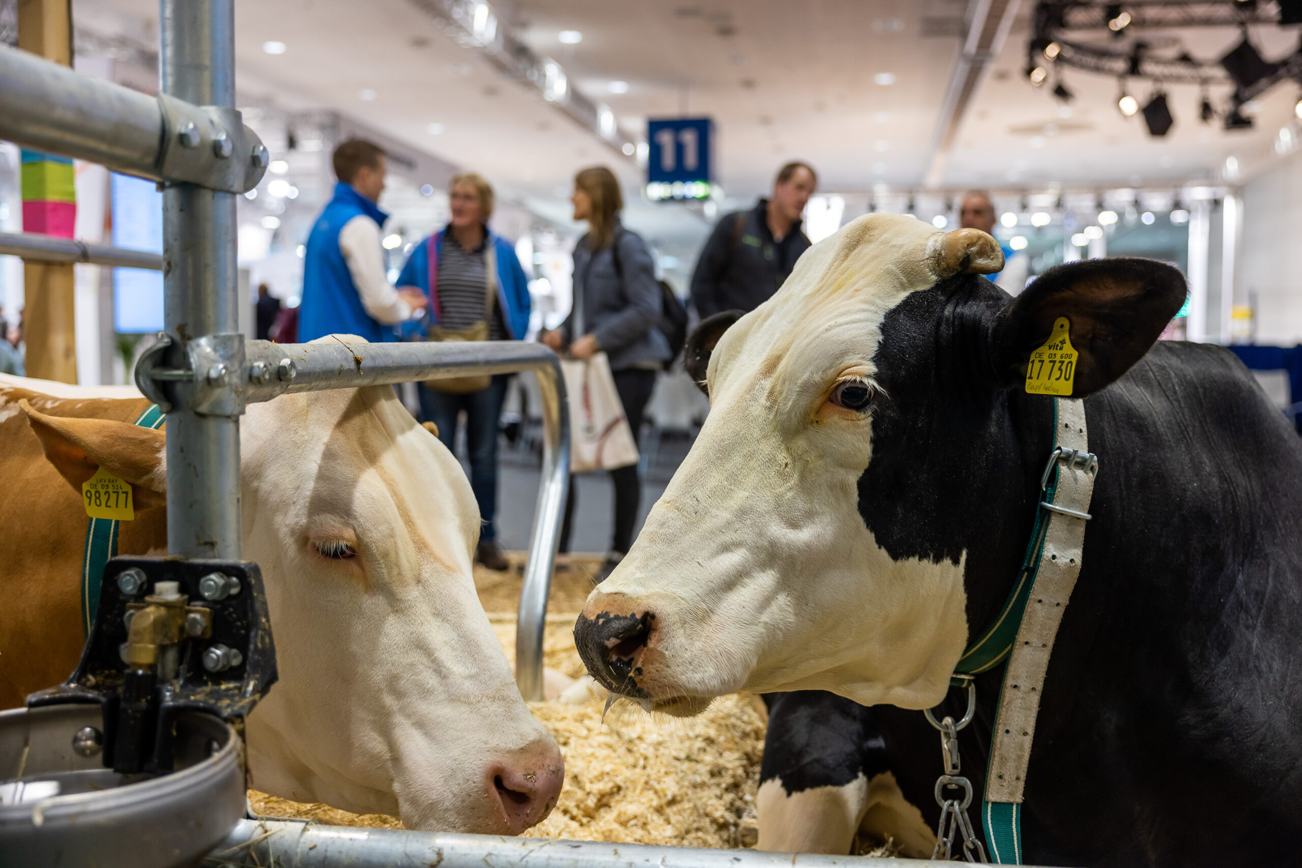 EuroTier 2024: Anmeldephase für Aussteller gestartet | Bauernzeitung