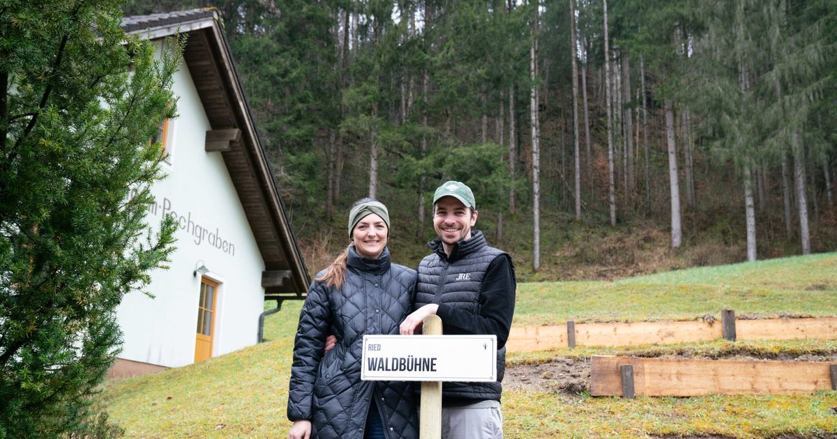 Hier wächst der erste Teegarten Österreichs | Bauernzeitung