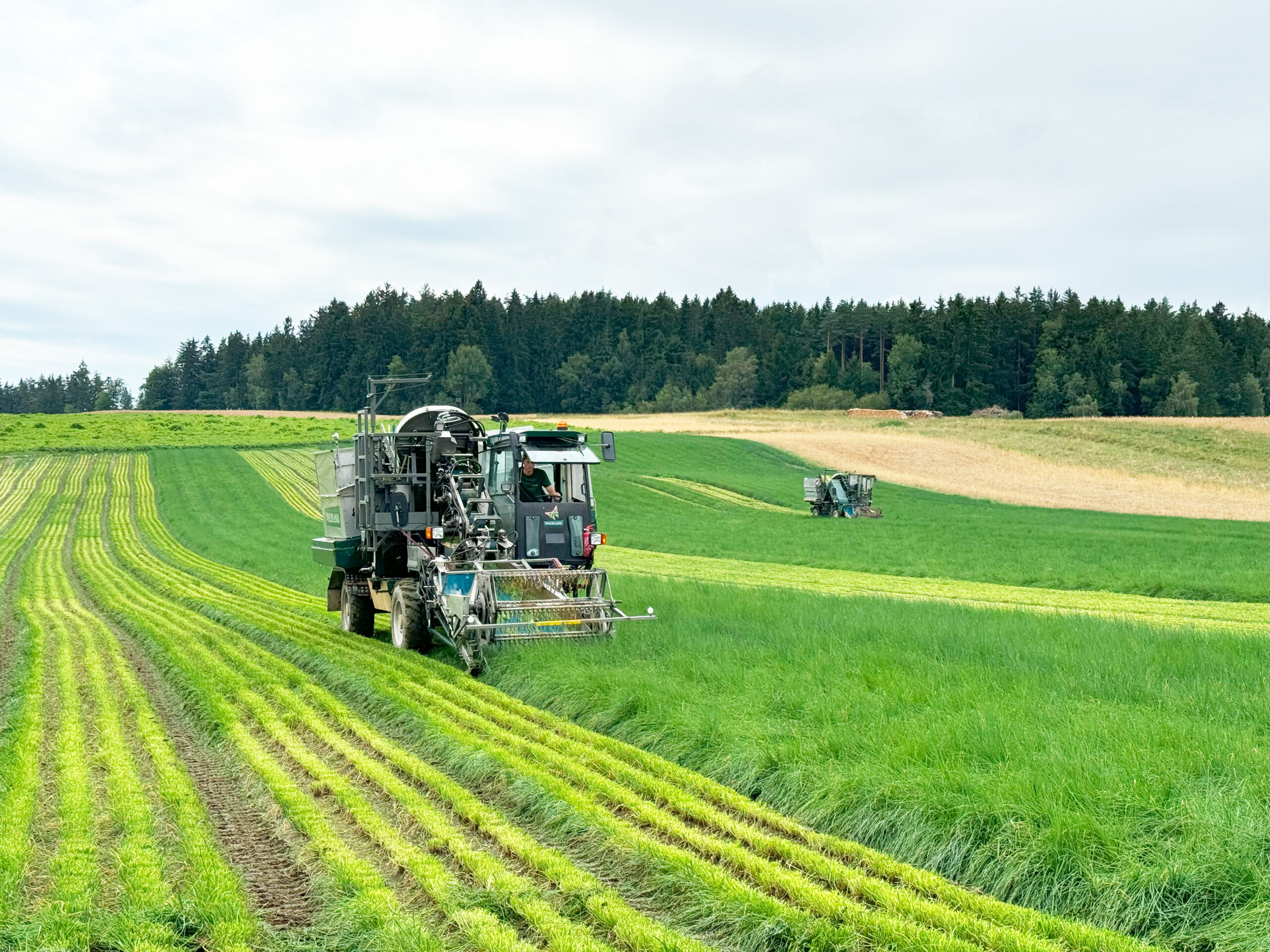 Waldland – erfolgreiche Erntebilanz 2024 | Bauernzeitung
