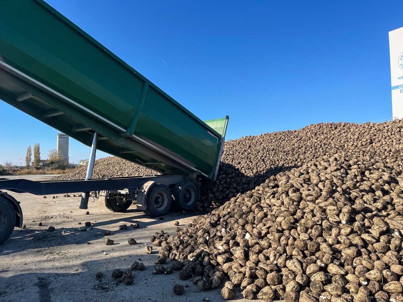 Milch: Rekordwerte bei Export und Import | Bauernzeitung