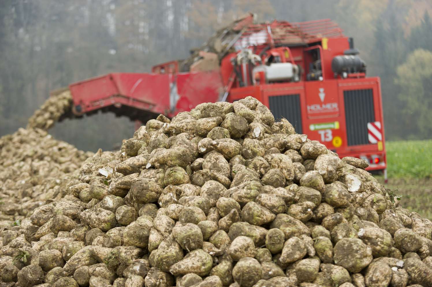 Milch: Rekordwerte bei Export und Import | Bauernzeitung