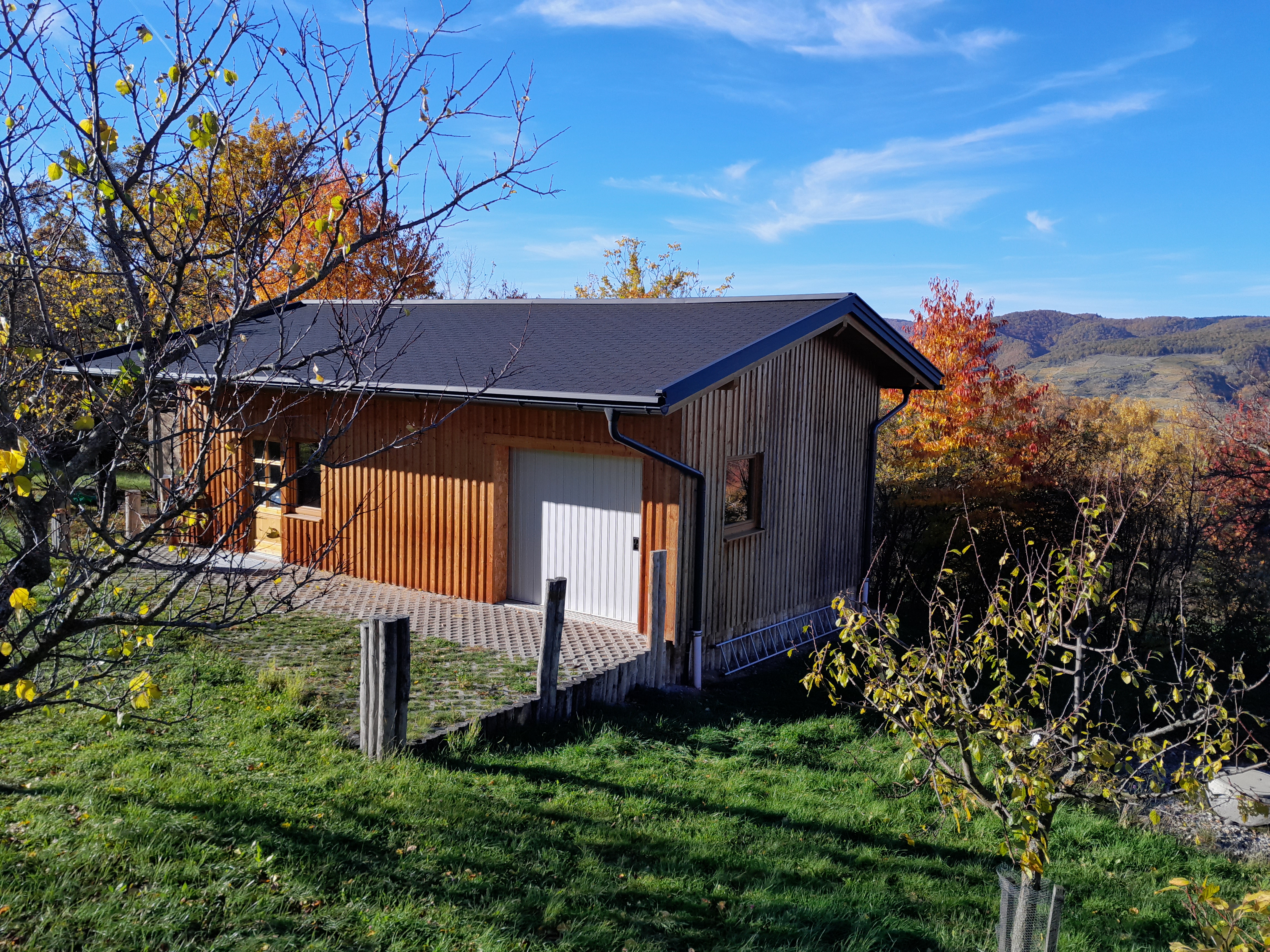 Soja säen mit 7-reihiger MONOSEM NG plus 4 - Kleinanzeige | Bauernzeitung