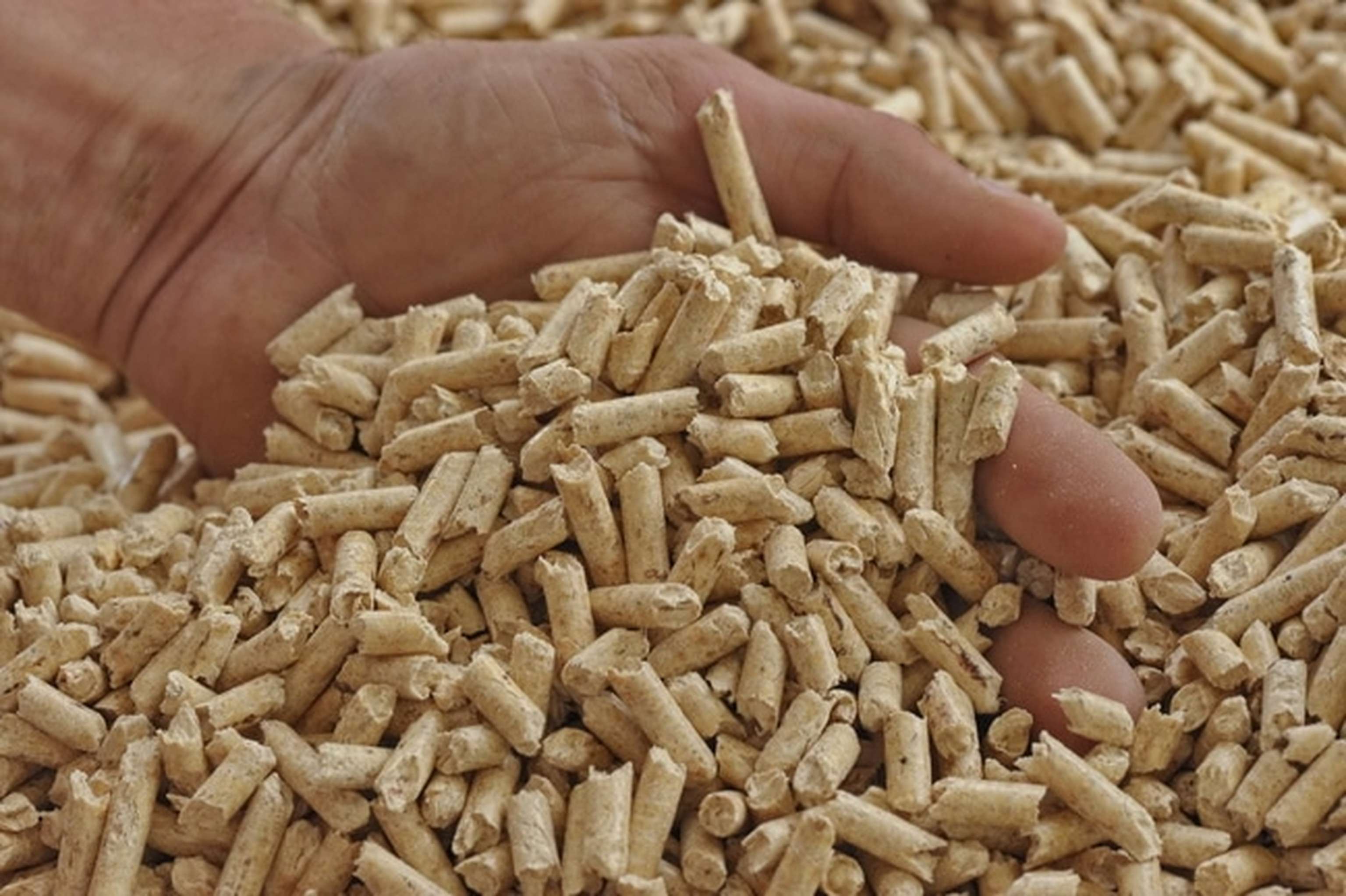 HS Timber verkauft Holzpelletvertrieb an RWA | Bauernzeitung