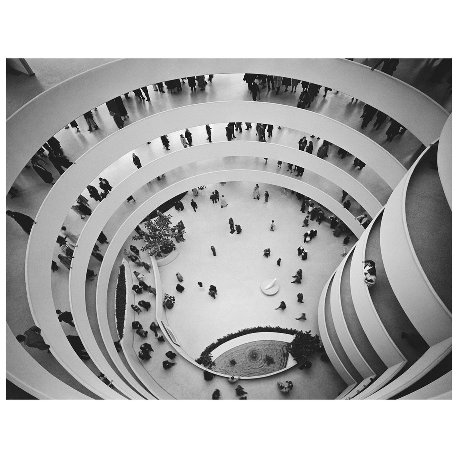 Frank Lloyd Wright — A Pioneer Architect Who Shaped Modern Design | MORJAS