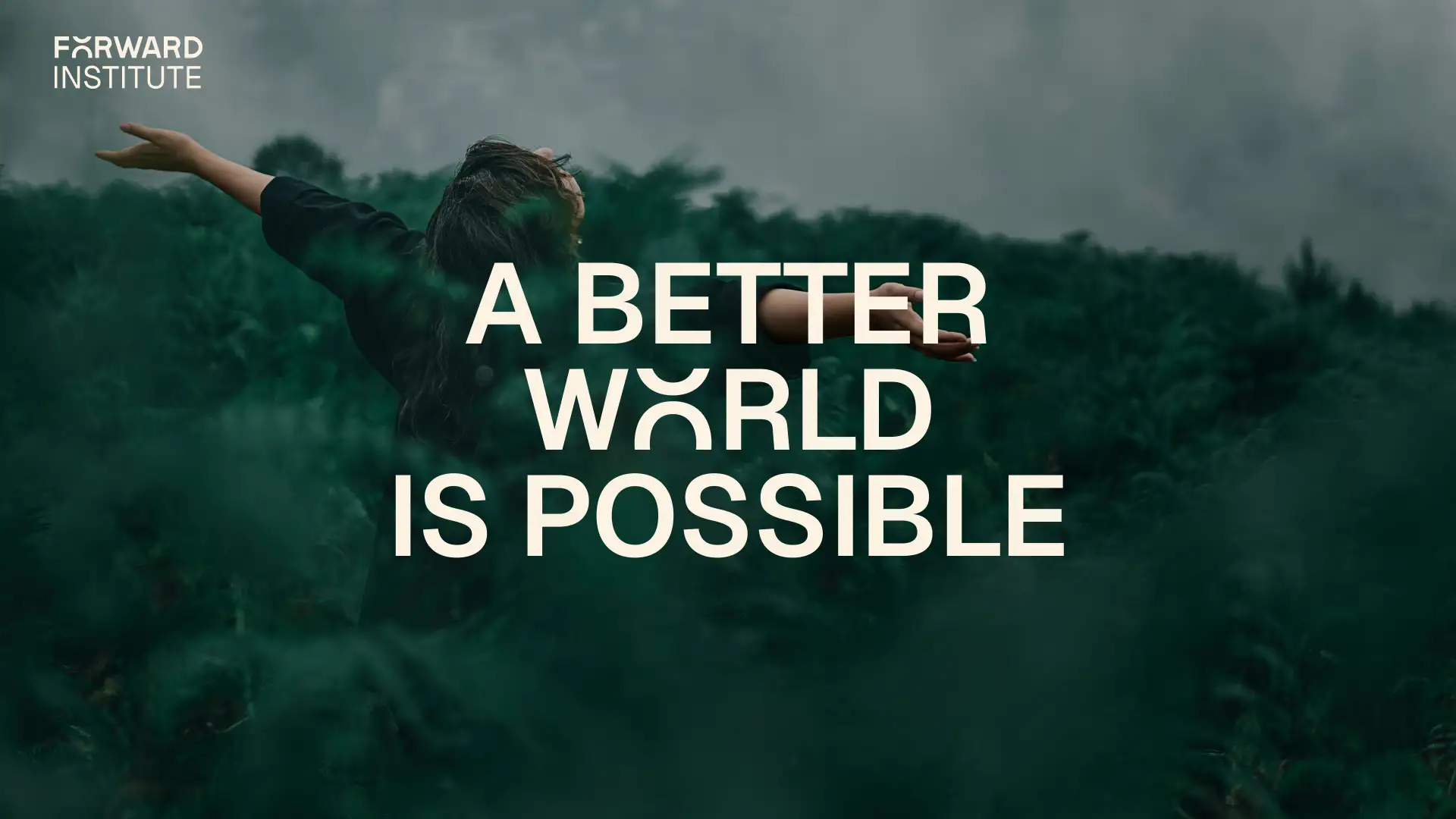 Impact Stories Forward Institute