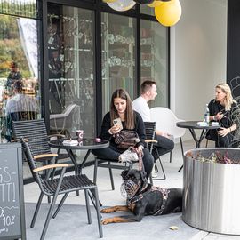 Hundekompetenzzentrum - Willkommen