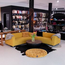 Hundekompetenzzentrum - Willkommen