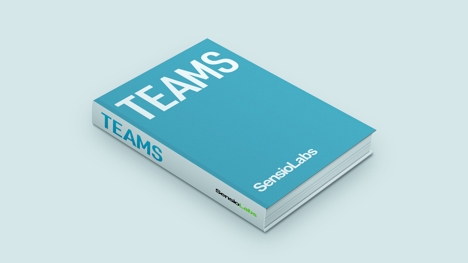 Building an efficient PHP and Symfony technical team | SensioLabs