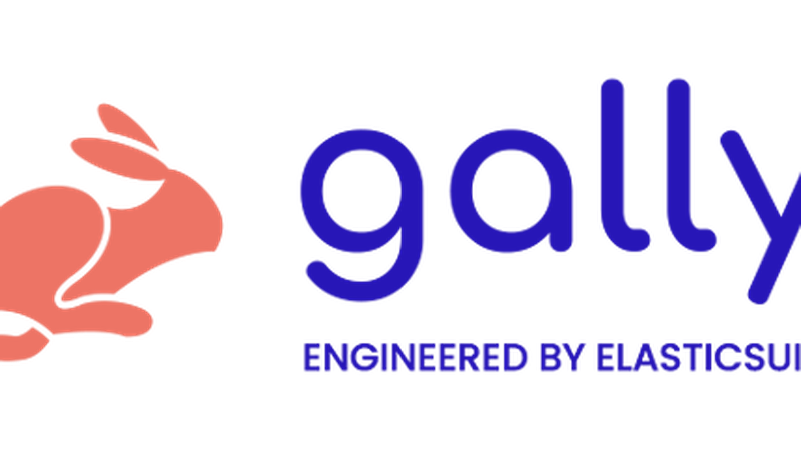 Gally: Open Source Searchandising for Better Conversion | SensioLabs