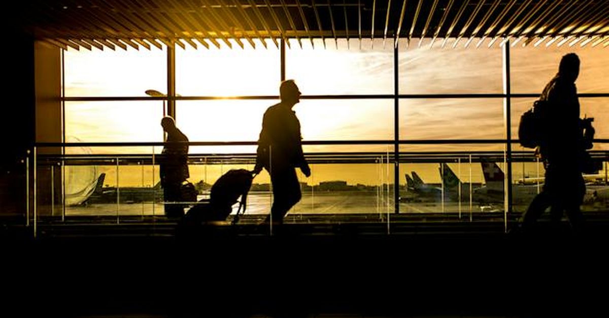 The State of Travel Disruption in 2025 | Perk