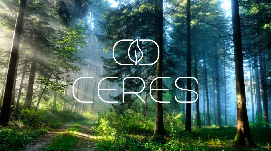 Project CERES: From Deep Space To CUBE HQ