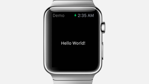 Apple Watchkit: A beginner's guide