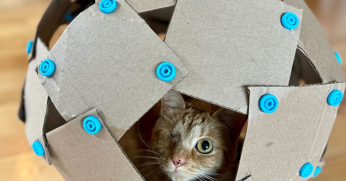 Peeking out from within | Makedo Resource Hub