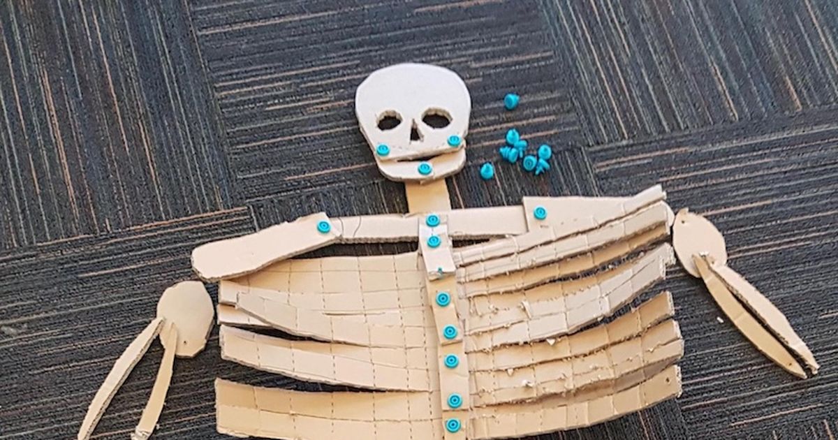 Making a Human Skeleton | Makedo Resource Hub