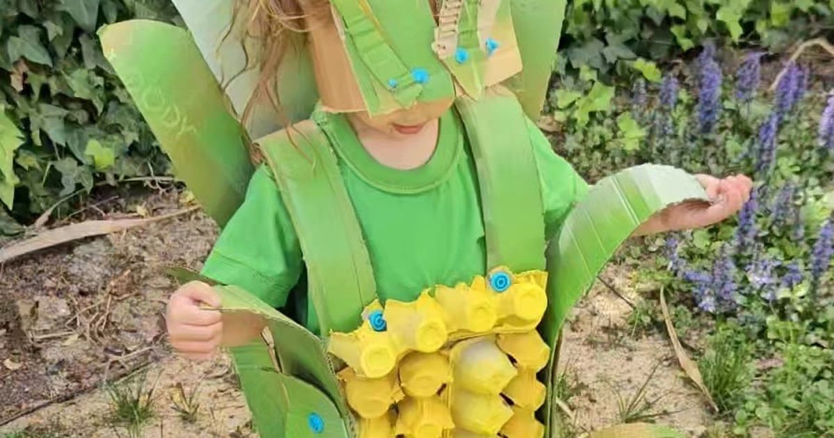 The Corniest Costume | Makedo Resource Hub