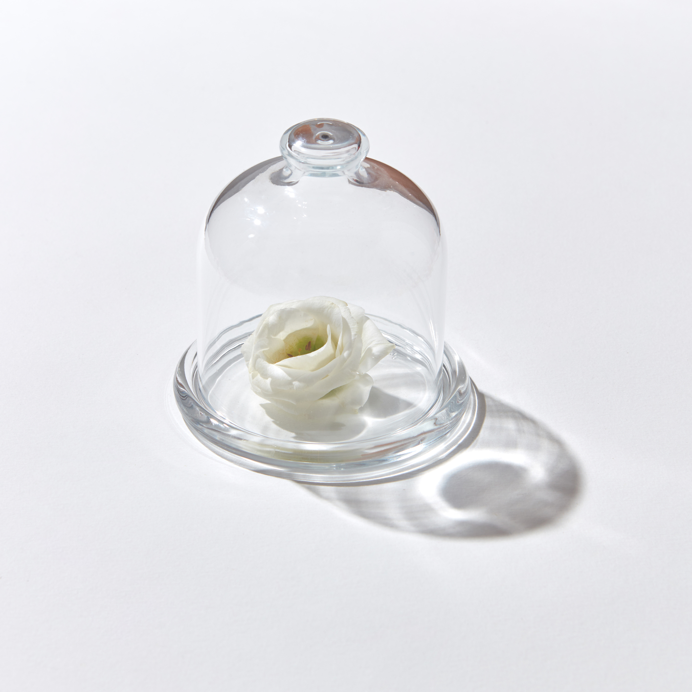 Erica Louden, MD. Ph.D, FACOG | Utah Fertility Center