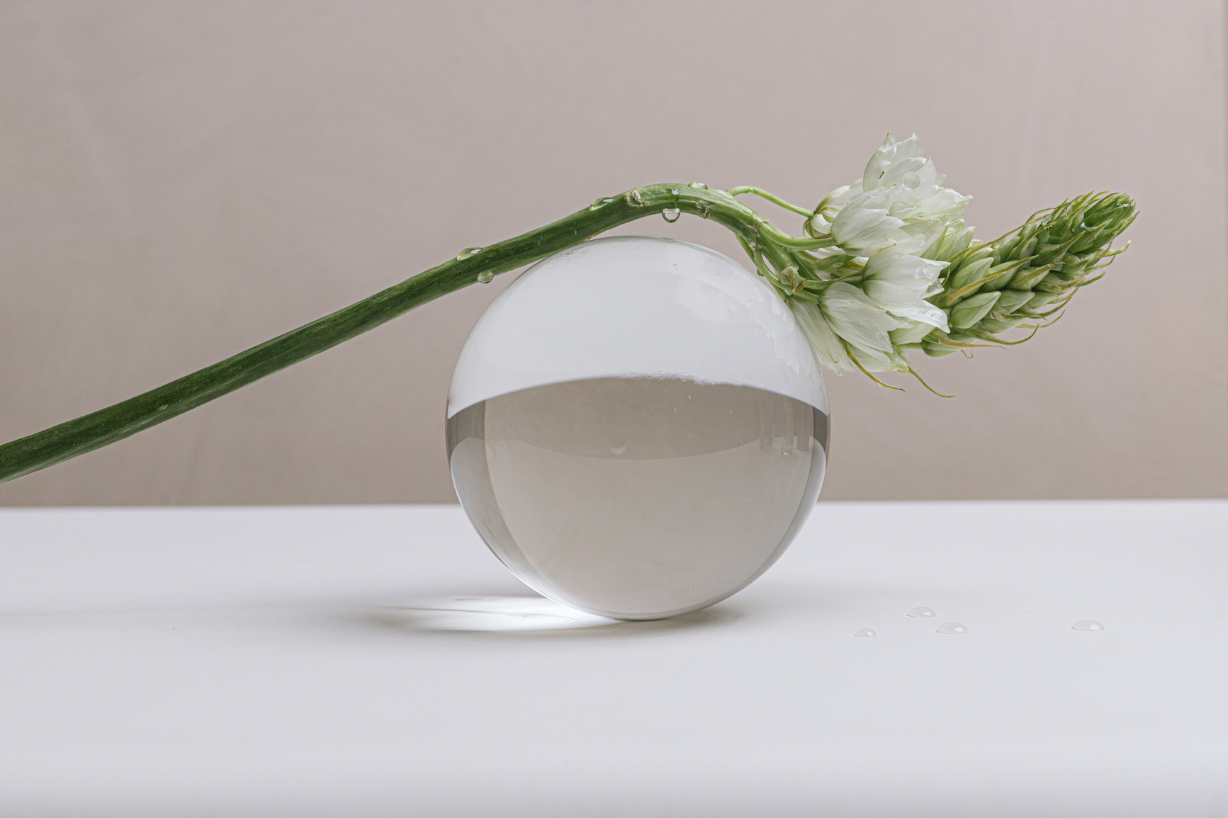 What is IVF? Exploring the Basics of In Vitro Fertilization ...