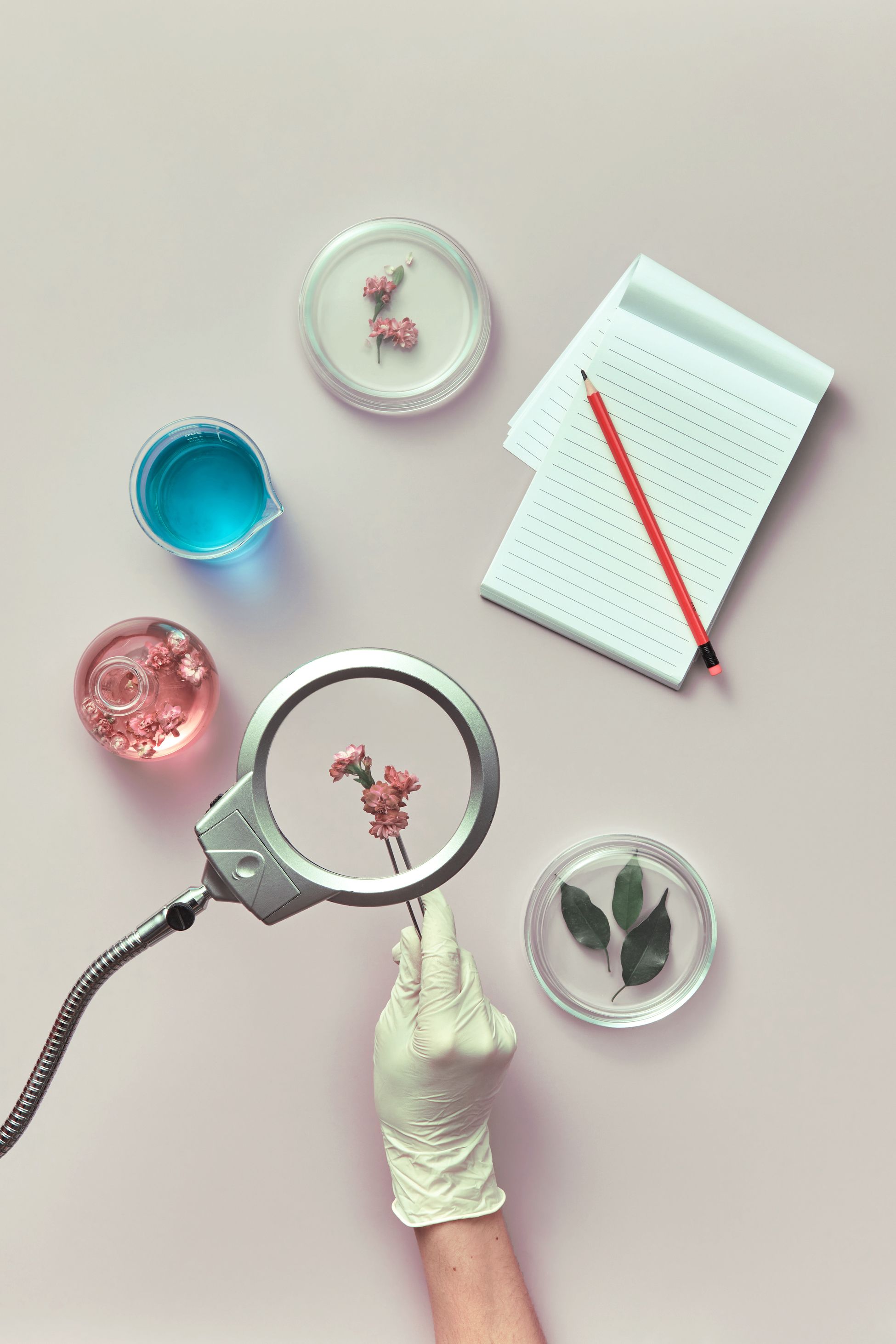 About Us | Trusted Fertility Experts | Virginia Fertility & IVF
