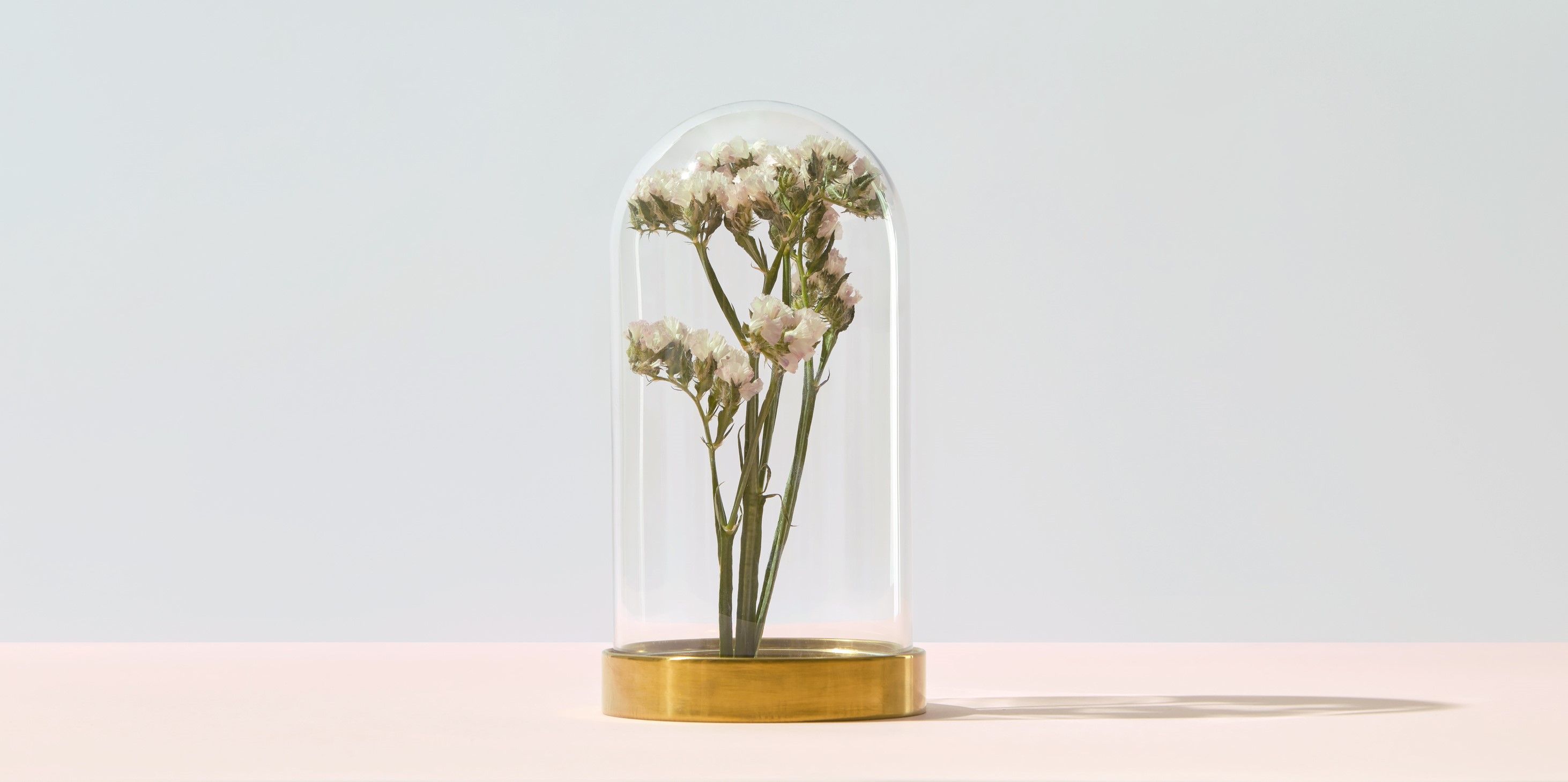 Ivy Fertility Chief Growth Officer Hire | Ivy Fertility