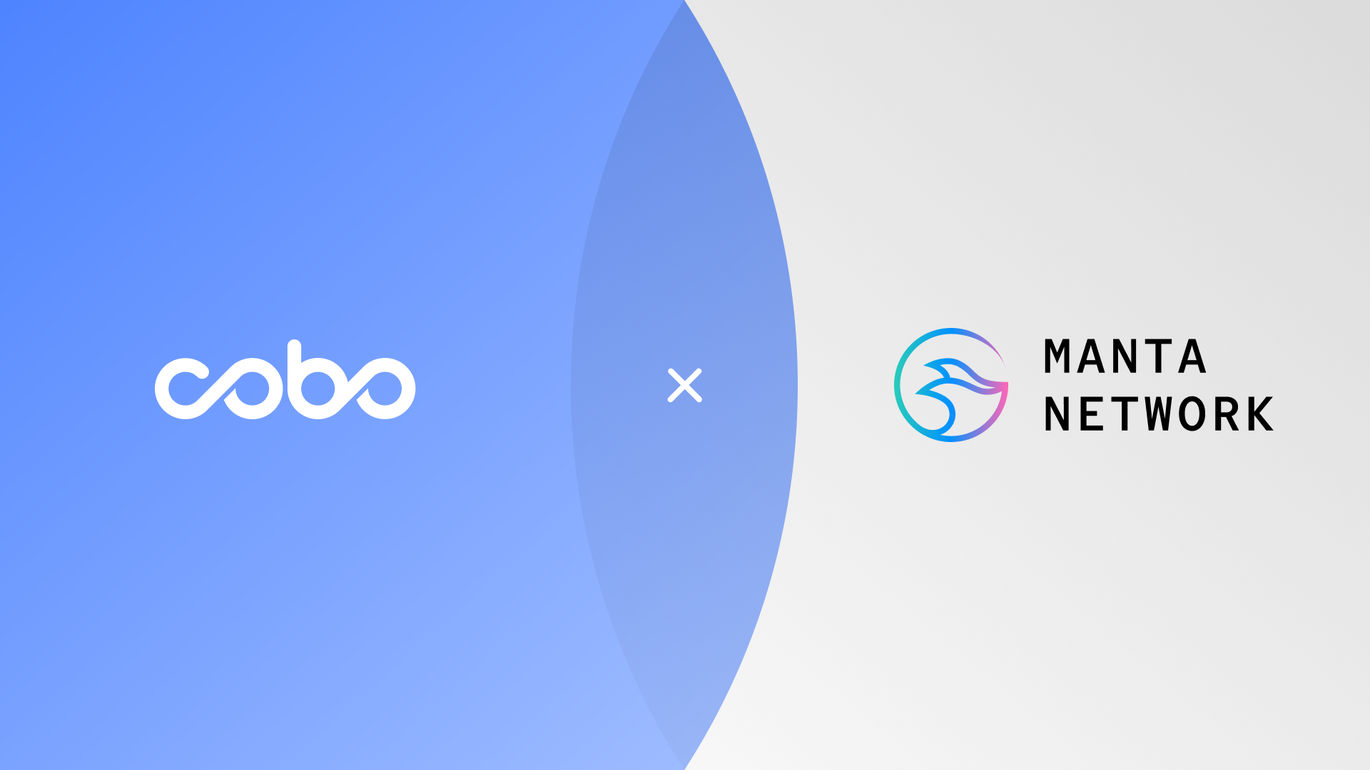 Cobo Partners Manta Network to Offer Custody & Risk Solutions