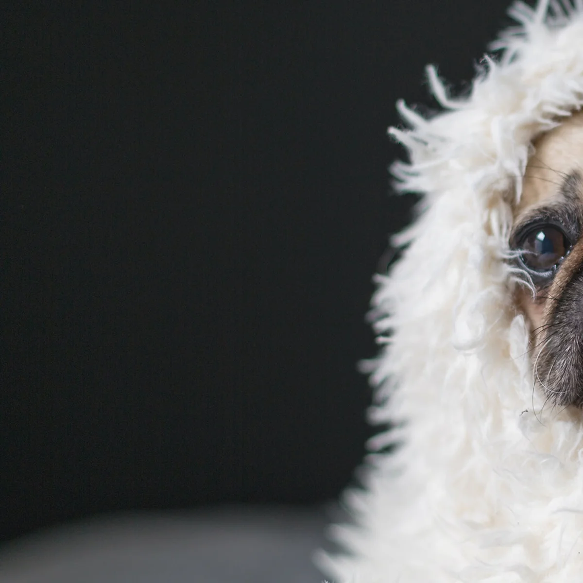 Vliegt de winkels uit: Dit teddyhuispak is je winter BFF | &C