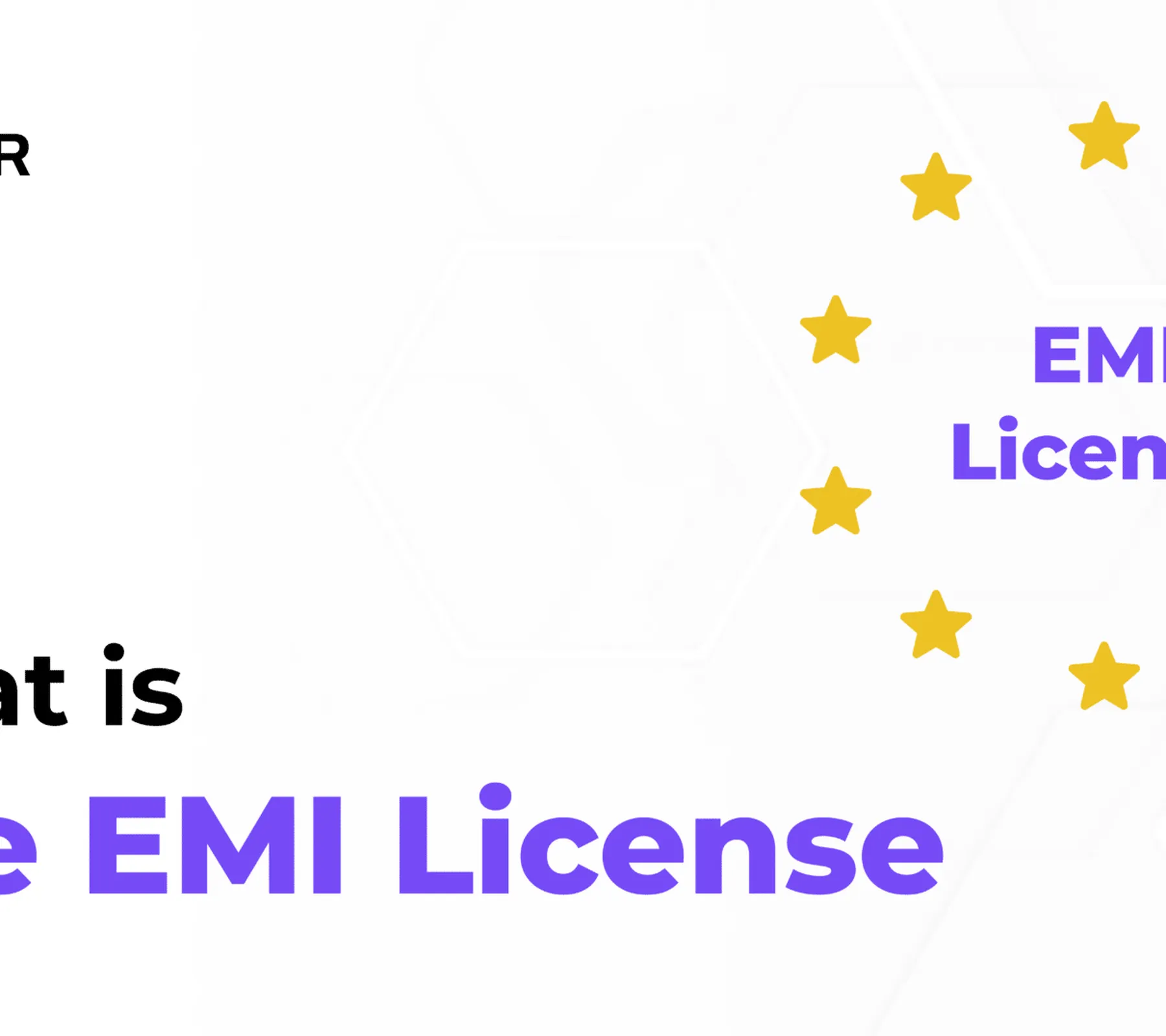 What Is The EMI License?