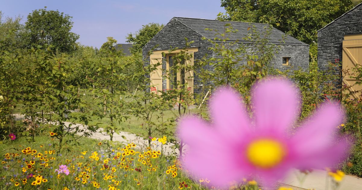 PUR+ Architekten - Weinkulturgut Longuich