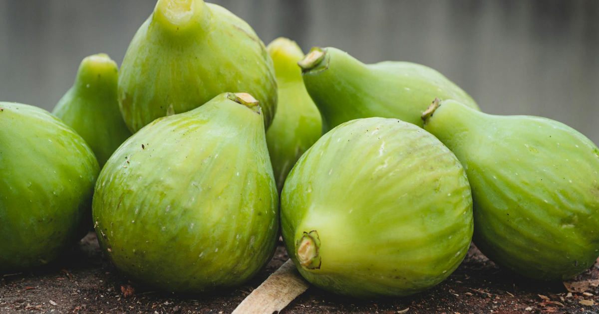 Astrorante: a Tasty Theme for Your Restaurant.