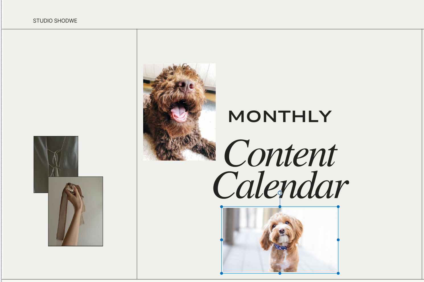 How to Add an Image to a PDF – A Step-by-Step Guide |MobiPDF