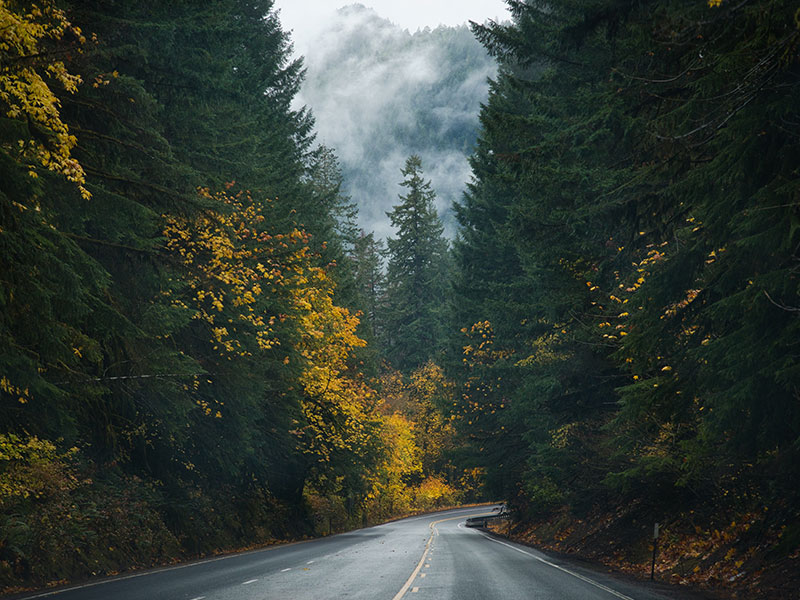Guide to Oregon Car Insurance: 2026 Rates & Cheapest Companies