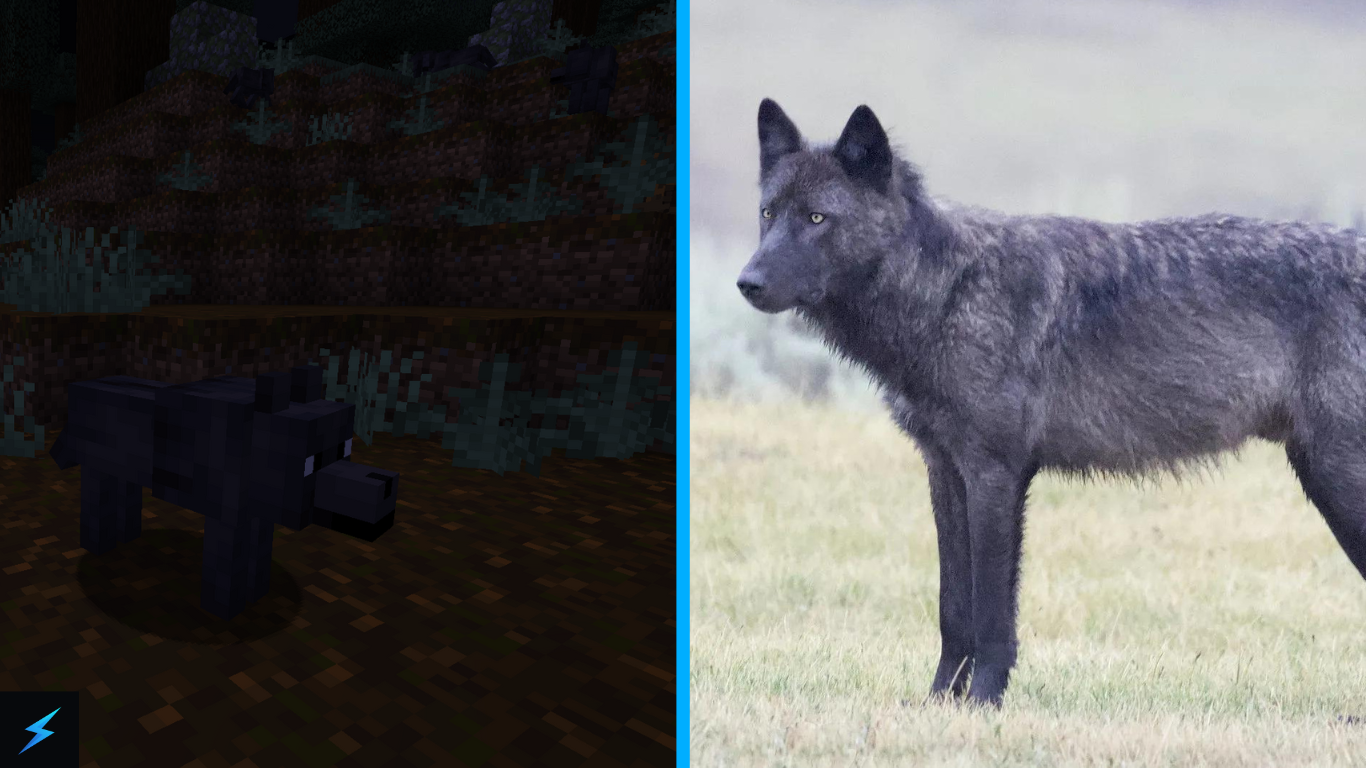 Black Wolves Minecraft